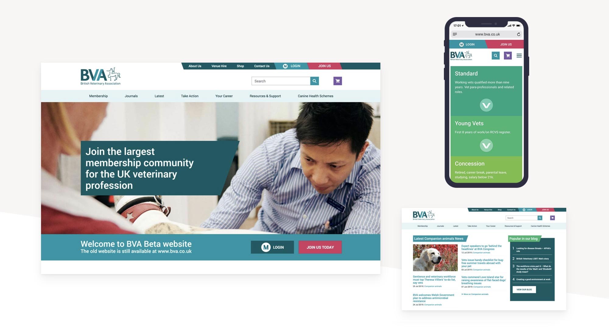 Case Study: British Veterinary Association DPC